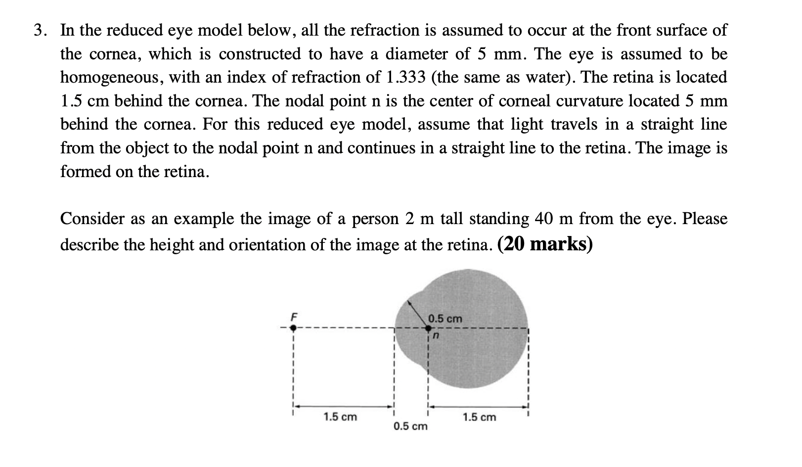 Solved In the reduced eye model below, all the refraction is | Chegg.com
