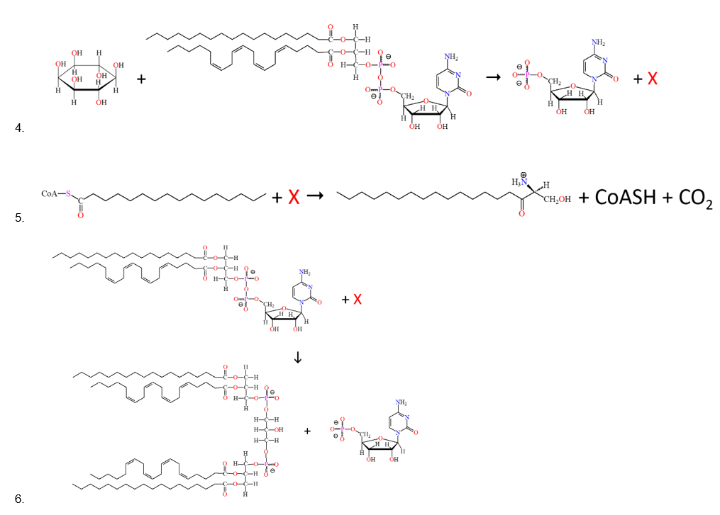 Solved Identify the missing substrates (X) in each of the | Chegg.com