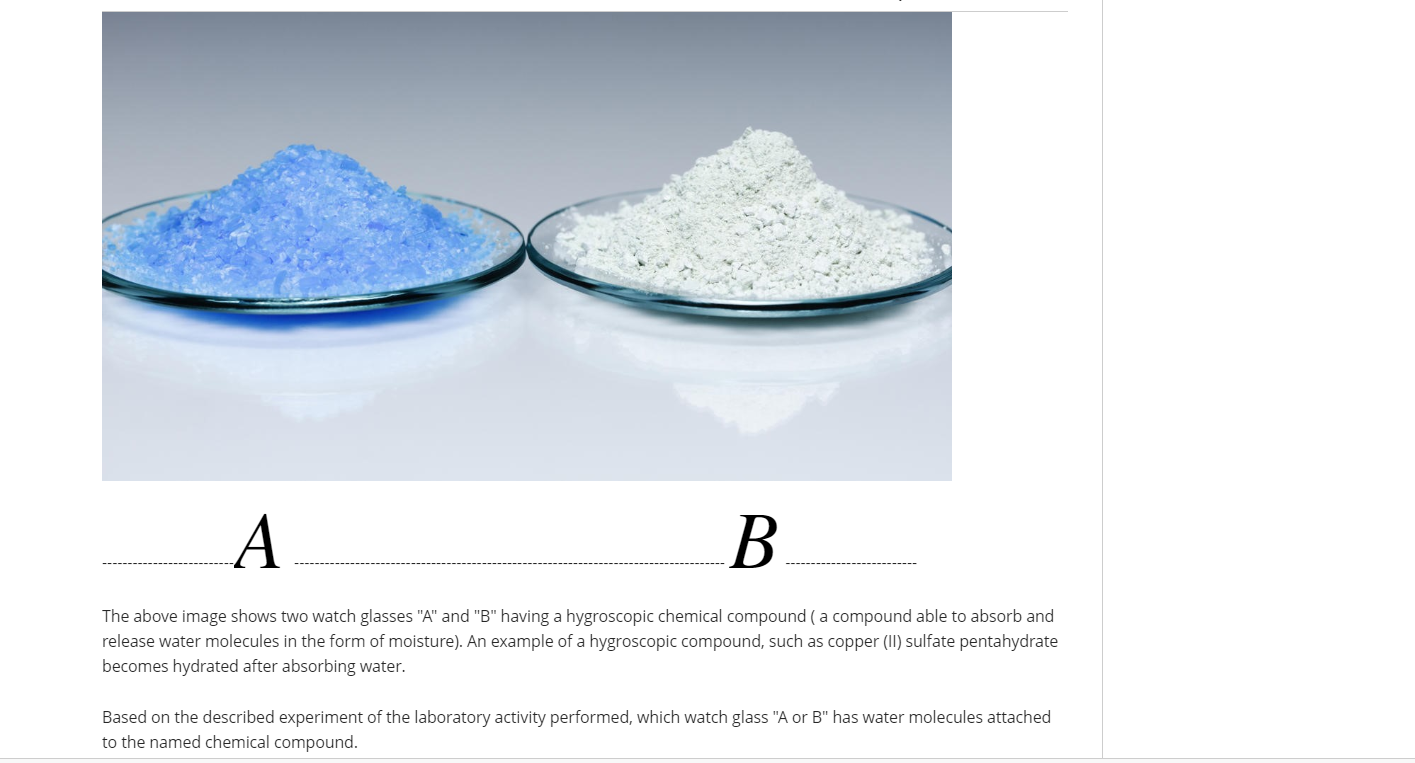 Solved The above image shows two watch glasses "A" and "B" | Chegg.com