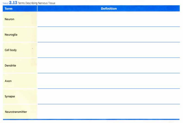 Solved 4 Fill in the blanks using your model and/or cadaver | Chegg.com