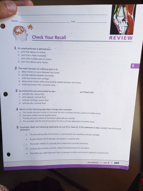 Solved Section UNIT Date Check Your Recall REVIEW 1 An | Chegg.com