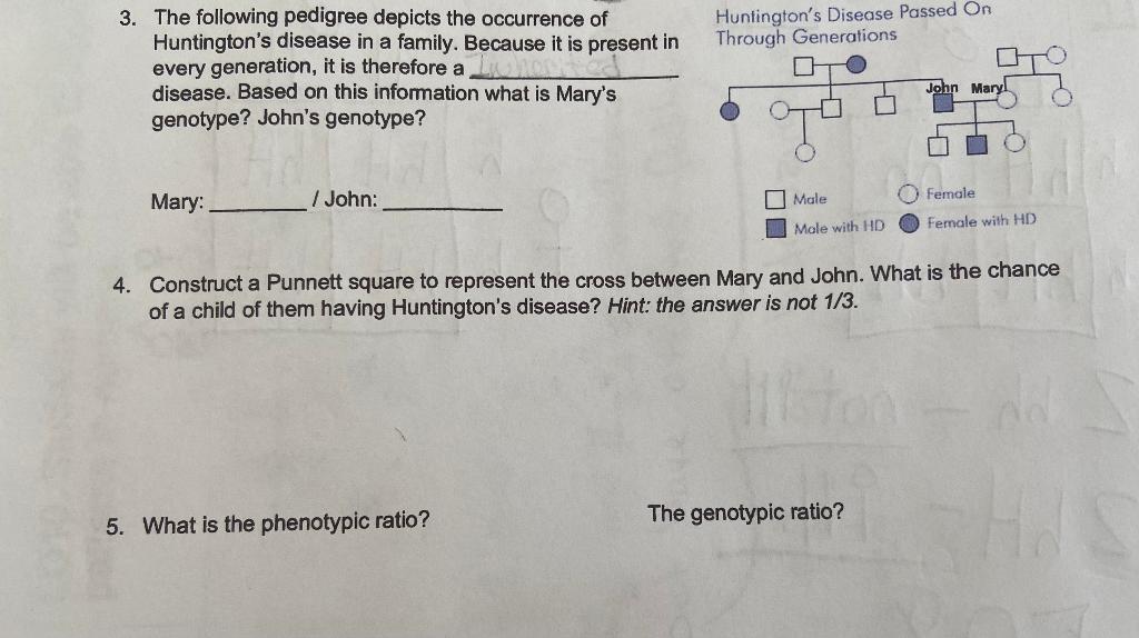 Solved Huntington's Disease Passed On Through Generations 3. | Chegg.com