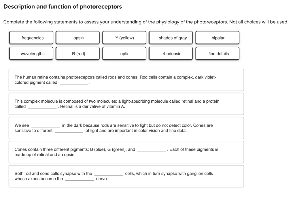 Solved Description and function of photoreceptors Complete | Chegg.com