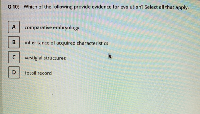 Comparative Embryology Evolution Evidence