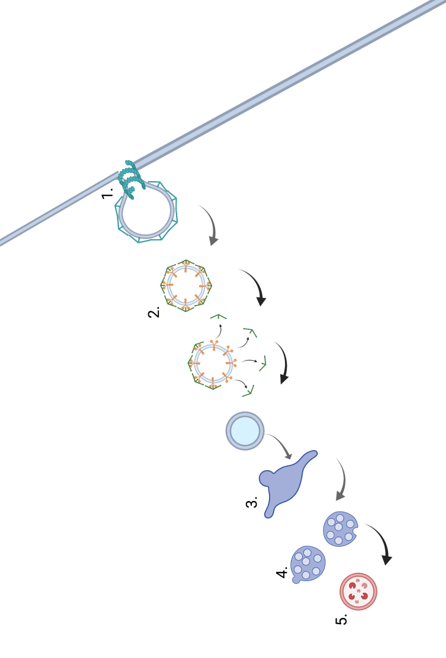 Solved Examine the diagram showing a generalised depiction | Chegg.com