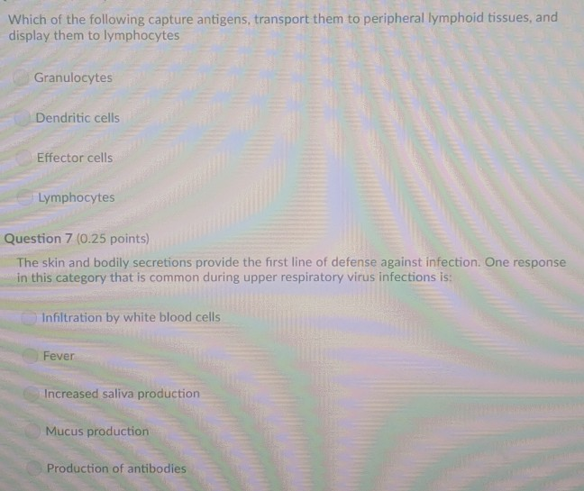 Solved Question 3 (0.25 points) The end result of complement | Chegg.com