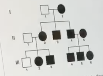 Solved The pedigree here tracks the presence of dimples | Chegg.com