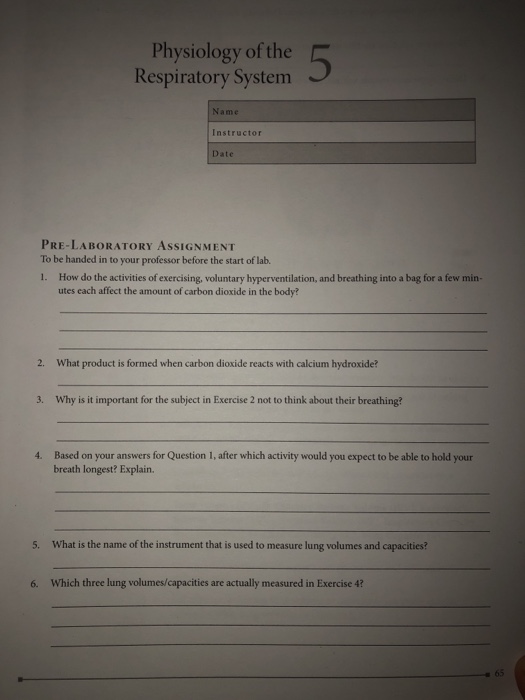 Solved Physiology of the Respiratory System Name Instructor | Chegg.com