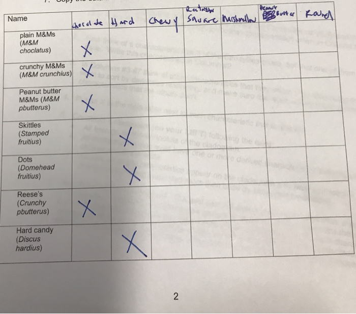 Solved Make a phylogenetic tree / cladistic diagram from | Chegg.com