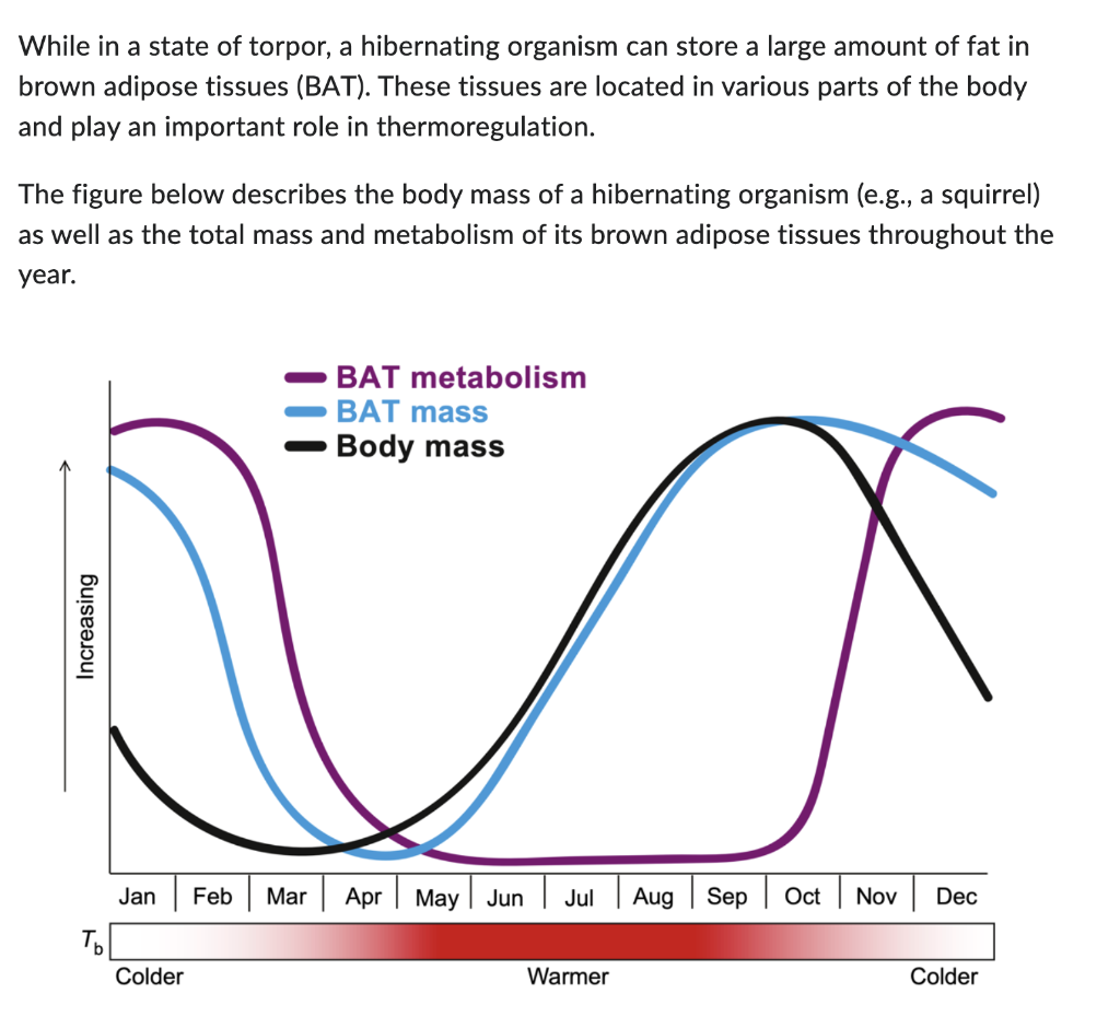 Solved Briefly describe the change in the brown adipose | Chegg.com