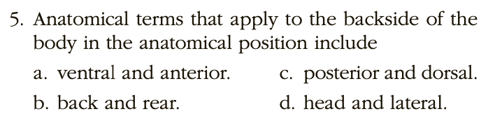 Solved 5. Anatomical terms that apply to the backside of the | Chegg.com