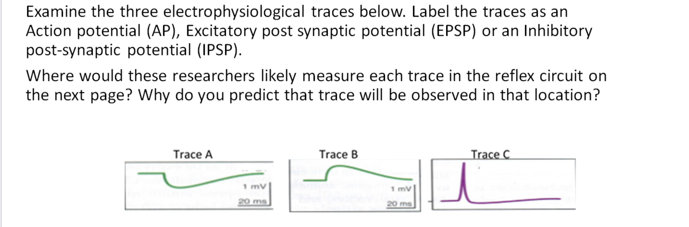Solved Examine the three electrophysiological traces below. | Chegg.com