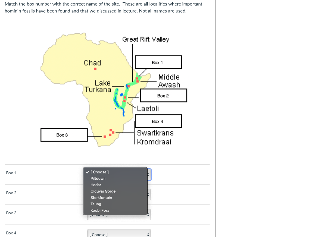 Solved Match the box number with the correct name of the | Chegg.com