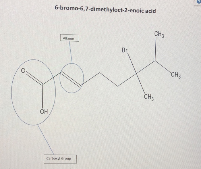 Solved I have to label the functional groups on this | Chegg.com