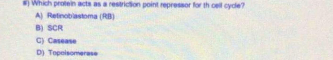 Solved 5) Which protein acts as a restriction point | Chegg.com