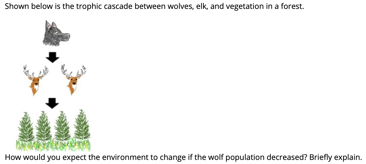Solved Shown below is the trophic cascade between wolves, | Chegg.com