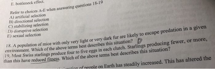 Solved 45) What is the function of reverse transcriptase in | Chegg.com