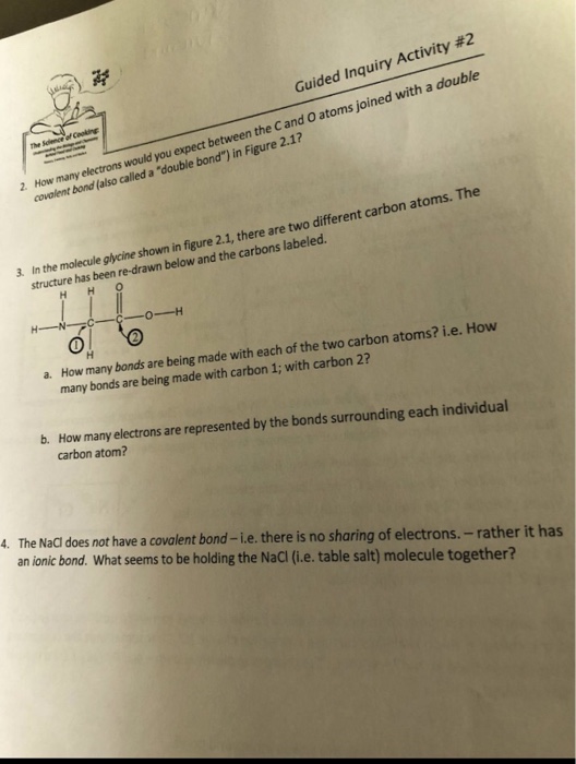 Solved The Science of Cooking Guided Inquiry Activity #2 | Chegg.com
