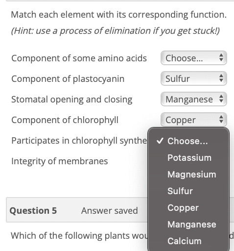 Solved Match each element with its corresponding function. | Chegg.com