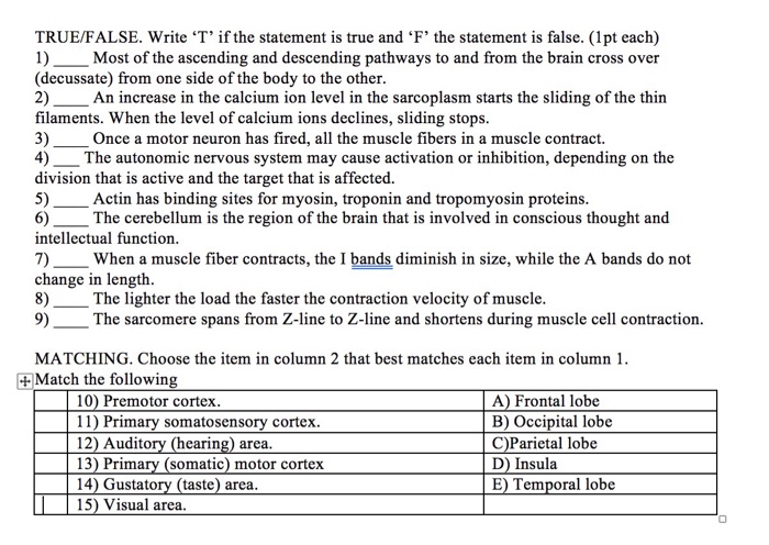 Solved TRUE/FALSE. write ‘T' if the statement is true and | Chegg.com