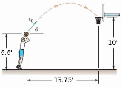 Solved The basketball player likes to release his foul shots | Chegg.com