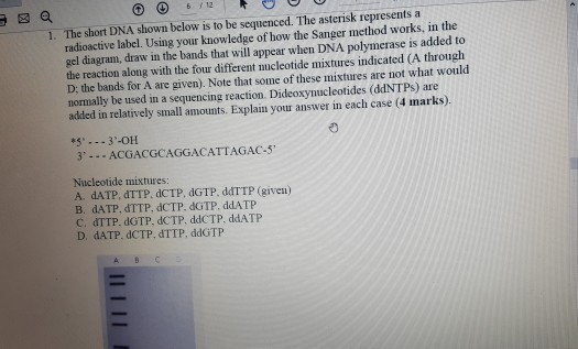 Solved 1. The short DNA shown below is to be sequenced. The | Chegg.com