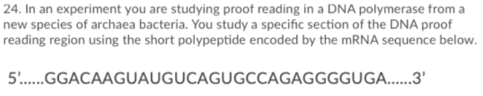 Solved Use the codon chart below to determine the amino acid | Chegg.com