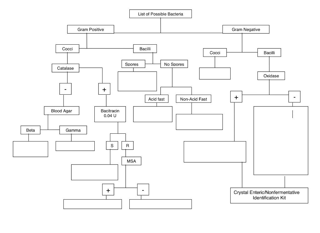 Solved LIST OF POSSIBLE UNKNOWNS The following list contains | Chegg.com