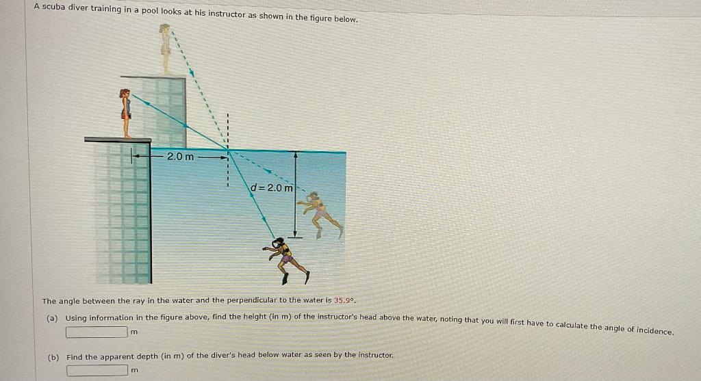 Solved A scuba diver training in a pool looks at his | Chegg.com