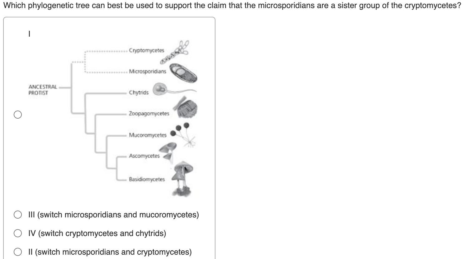 Solved Which phylogenetic tree can best be used to support | Chegg.com