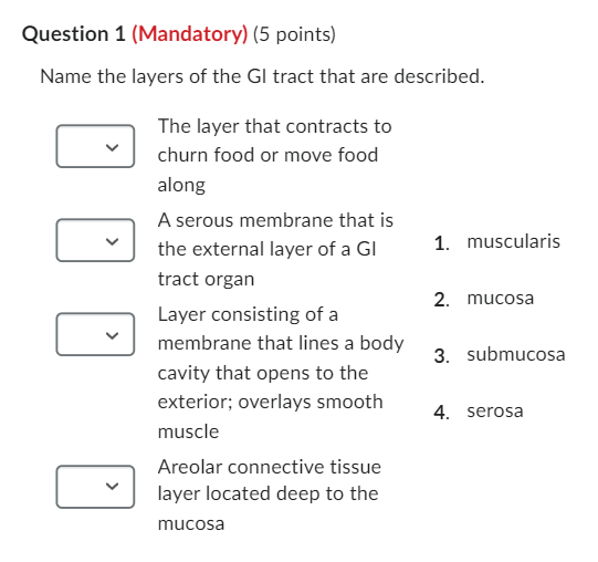 Solved Name the layers of the GI tract that are described. | Chegg.com