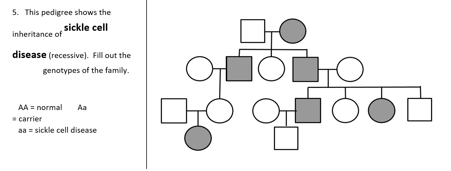 Solved 5. This pedigree shows the inheritance of sickle cell | Chegg.com