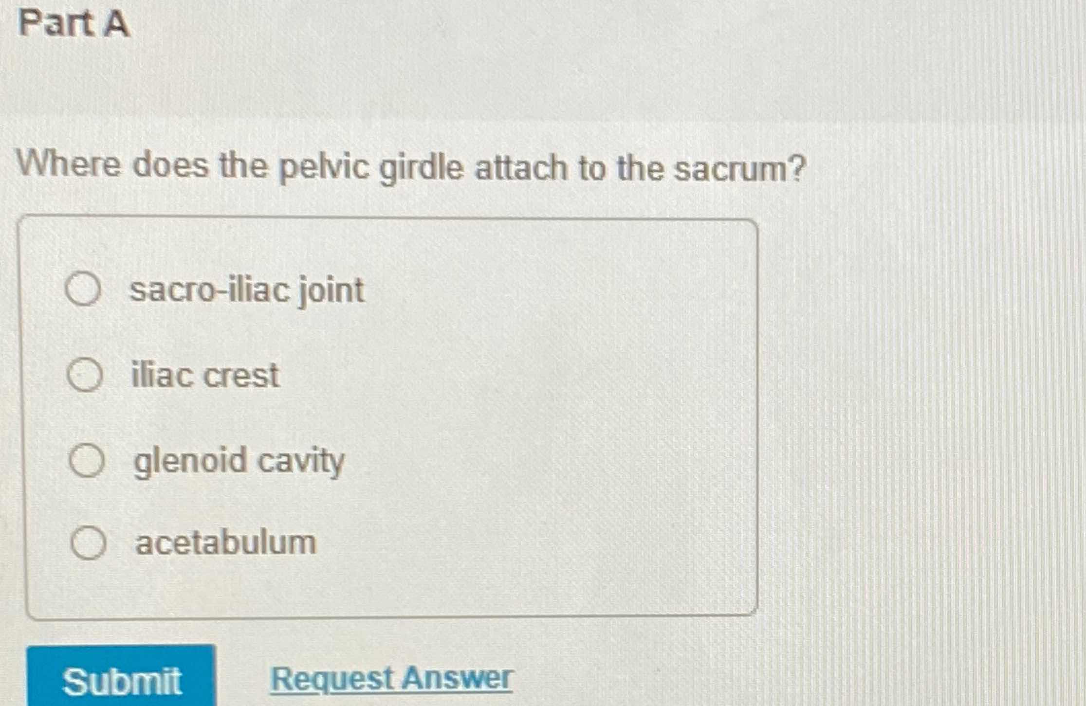 Solved Part AWhere does the pelvic girdle attach to the | Chegg.com