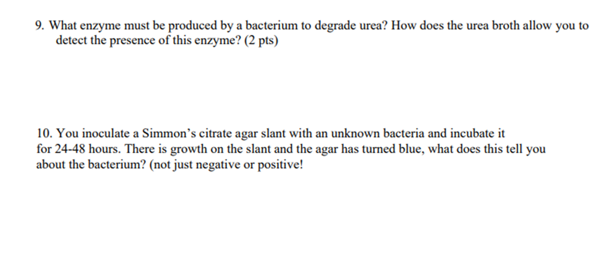 Solved 9. What enzyme must be produced by a bacterium to | Chegg.com