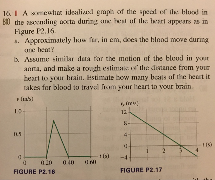 Solved A somewhat idealized graph of the speed of the blood | Chegg.com