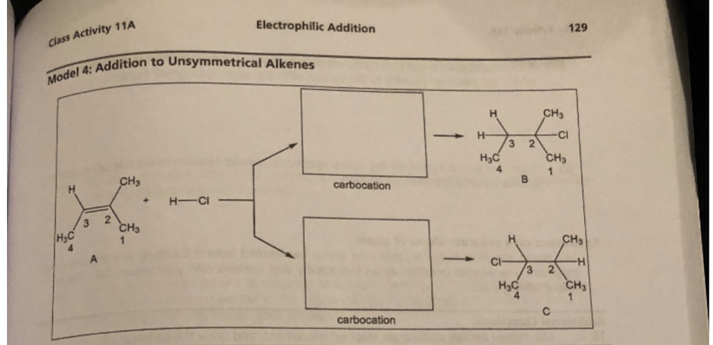 Solved Electrophilic Addition 129 Class Activity 11A 4: | Chegg.com