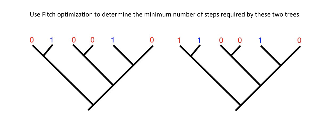 Solved Use Fitch optimization to determine the minimum | Chegg.com
