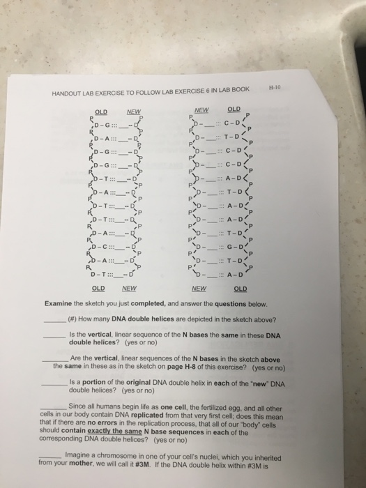 Solved H-10 HANDOUT LAB EXERCISE TO FOLLOW LAB EXERCISE 6 IN | Chegg.com Solved H-10 HANDOUT LAB EXERCISE TO FOLLOW LAB EXERCISE 6 IN | Chegg.com