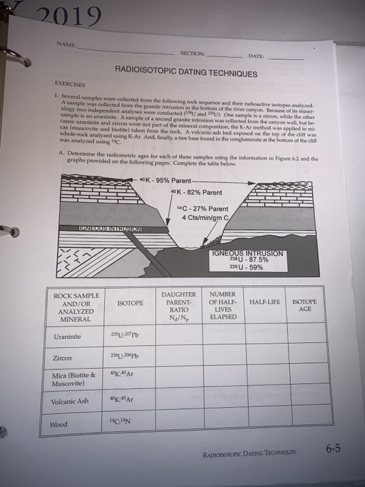 Solved 2019 NAME: SECTION DATE: RADIOISOTOPIC DATING | Chegg.com