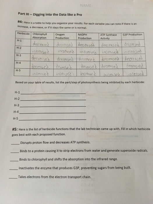 NAME Part II Digging into the Data like a Pro 4: Here | Chegg.com
