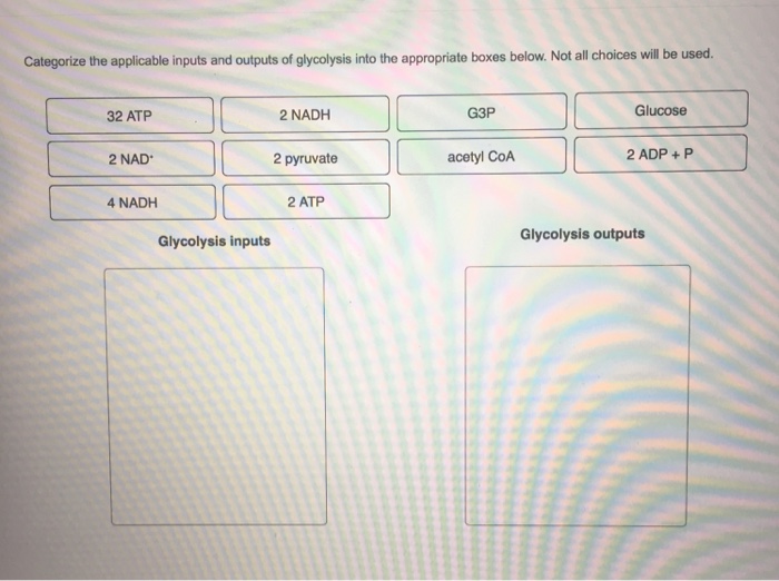 Inputs And Outputs Of Glycolysis