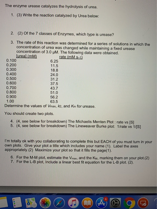 Solved The enzyme urease catalyzes the hydrolysis of urea. | Chegg.com