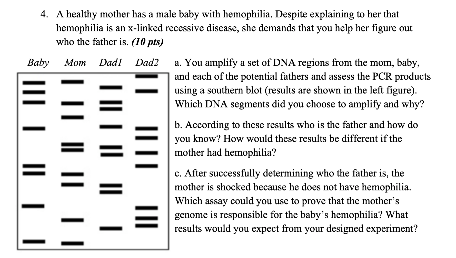 Solved 4. A healthy mother has a male baby with hemophilia. | Chegg.com