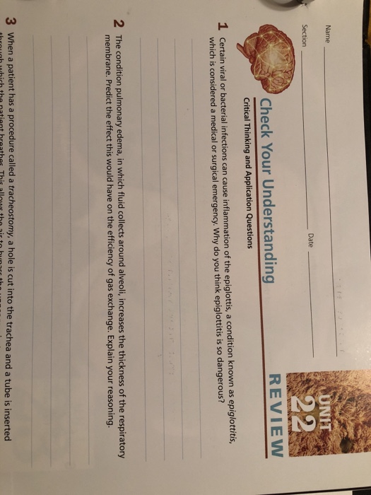 Solved Name NIT Date Section REVIEW Check Your Understanding | Chegg.com