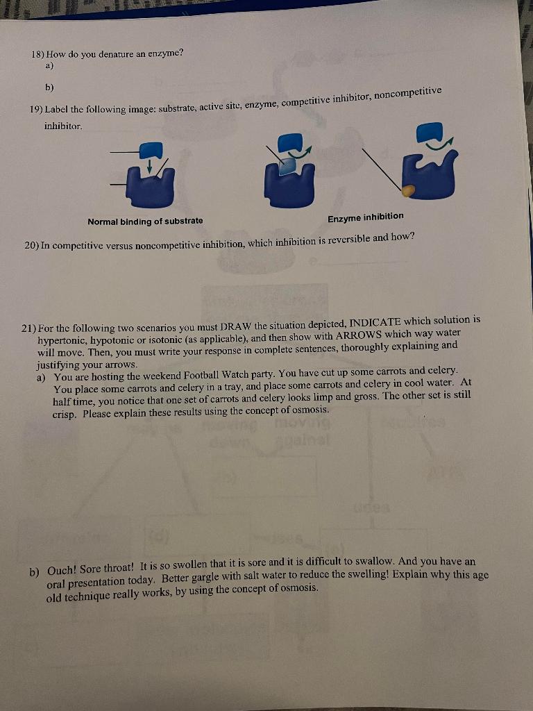 Solved 18) How do you denature an enzyme? a) b) 19) Label | Chegg.com