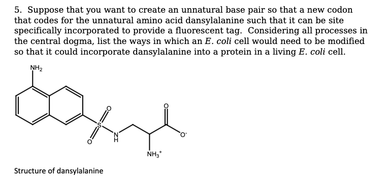 Solved 5. Suppose that you want to create an unnatural base | Chegg.com