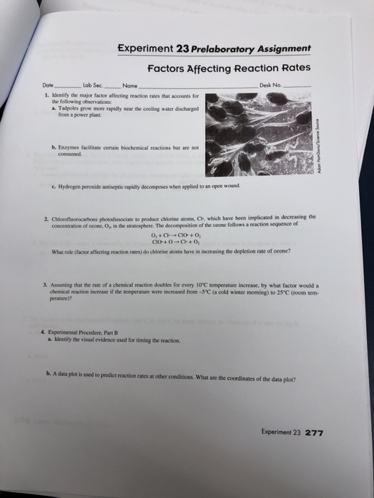 Solved Experiment 23 Prelaboratory Assignment Factors | Chegg.com