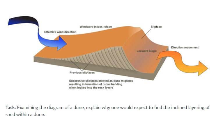 Solved Slipface Windward (stoss) slope Effective wind | Chegg.com