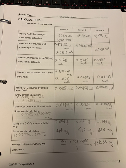 5e 6 7 Student Name: Instructor Name: CALCULATIONS | Chegg.com