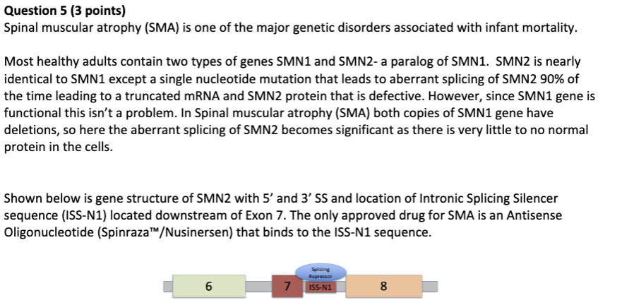 Solved Question 5 (3 points) Spinal muscular atrophy (SMA) | Chegg.com